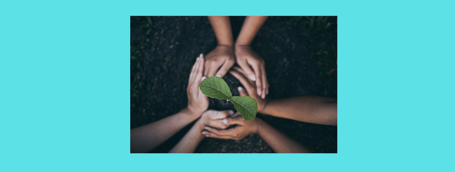 Debunking sustainability myths with the facts - Rothfield Debunking sustainability myths with the facts - Rothfield